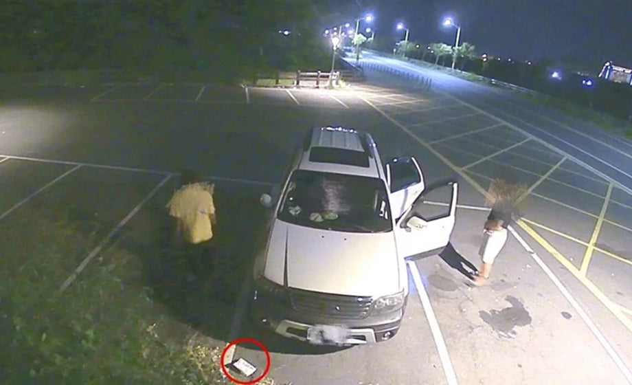 Monitoreo de lapso de tiempo para la protección del medio ambiente