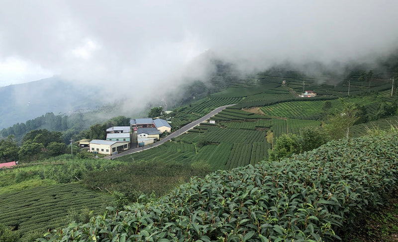 When time lapse meet fog in the mountain– Interview with NTU Geography